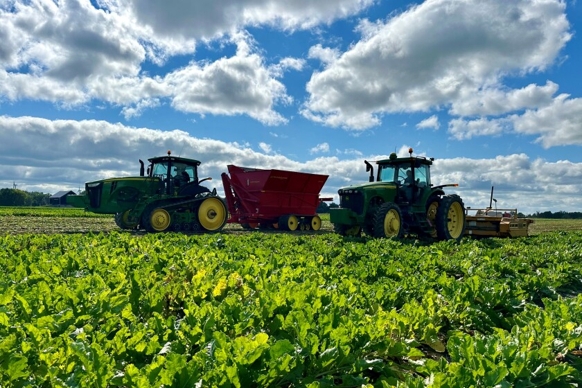 Sugarbeet Growing Season Update - KQ92