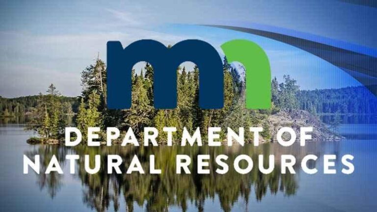 DNR Releases 2025 Forest Health Report - KQ92